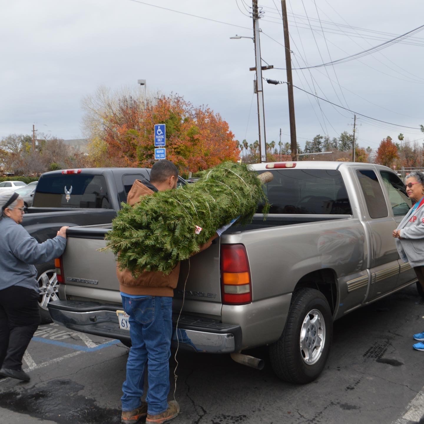 Christmas Tree Donations - Mid Valley Disposal